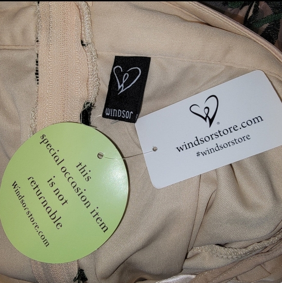 Windsor | Dresses | Discontinued Charena Formal Embroidered Floral ...